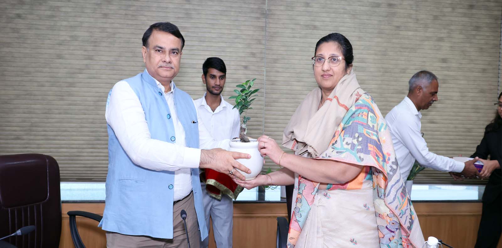 A summary discussion of the processes under Part II of the Insolvency ...